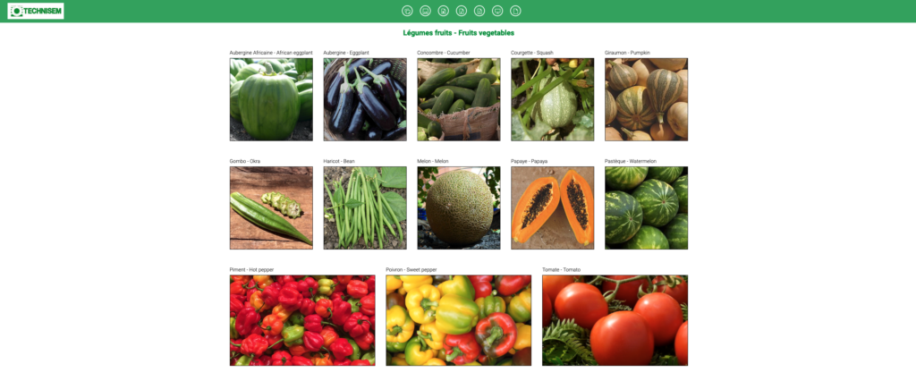 Découvrez la diversité de Technisem : 5000 photos de fruits et légumes en ligne ! - Technisem