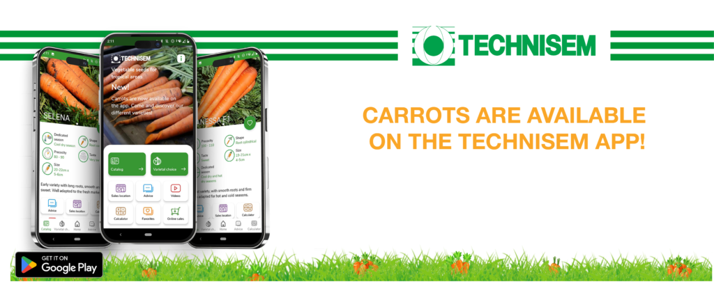Carrots are now available on our mobile app! - Technisem